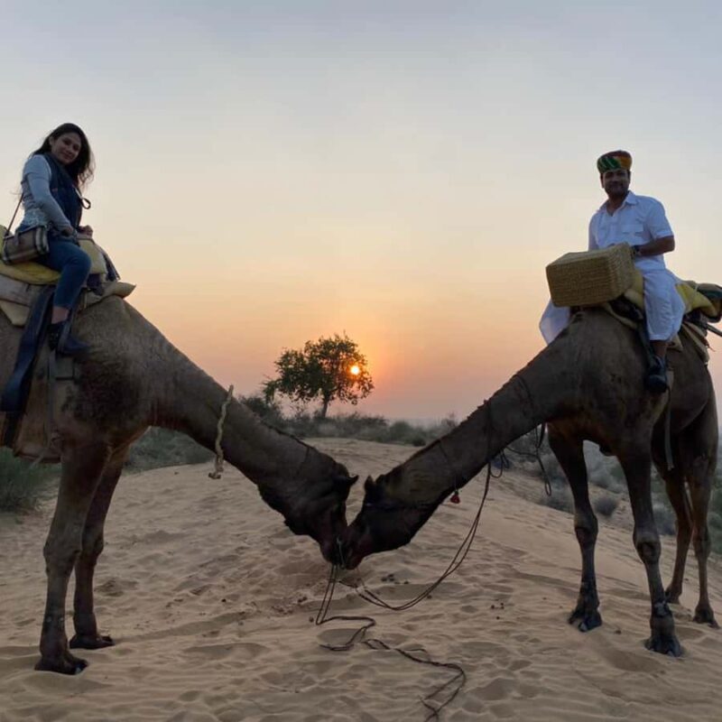 Jodhpur Camel Safari & Overnight Stay In Desert With Sumer - Final Thoughts: Is This Tour for You?