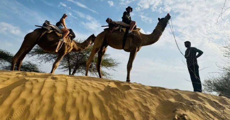 Jodhpur Camel Safari With Traditional Food With Sumer - Key Points