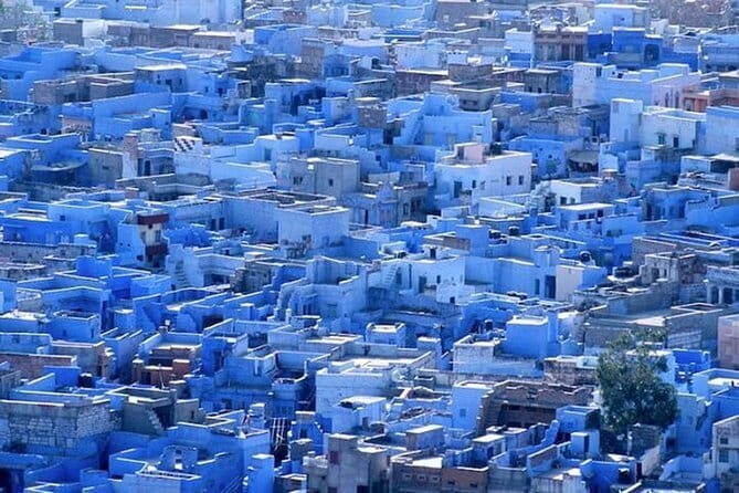 Jodhpur City SIghtseeing With Blue City Tour - Who Will Love This Tour?