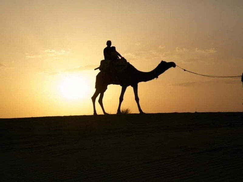 Jodhpur : Jeep Safari, Camel Ride,Buffet Dinner & Folk Dance - Key Points