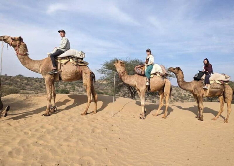 Jodhpur: Overnight Stay in Desert with Camel Safari - Key Points