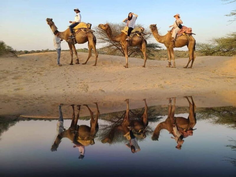 Jodhpur: Overnight Stay in Desert with Camel Safari - FAQs