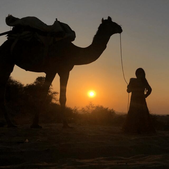Jodhpur OvernightStay In Desert Rural Village With CamelRide - Final Thoughts