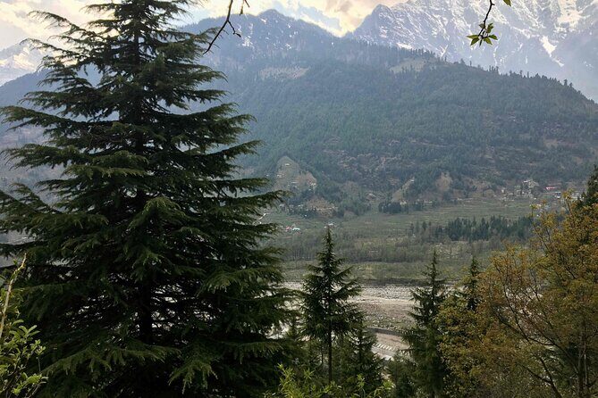 Jogini Waterfall Trek from Manali - An Honest Look at the Jogini Waterfall Trek
