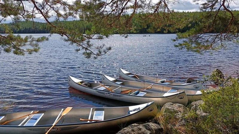 Johannisholm: Guided Canoe Tour on Lake Venjanssjön - Introduction
