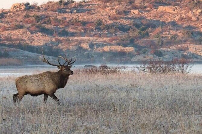 Johnson Canyon Lake Louise Emerald Lake Banff Gondola Hoodos - Final Thoughts