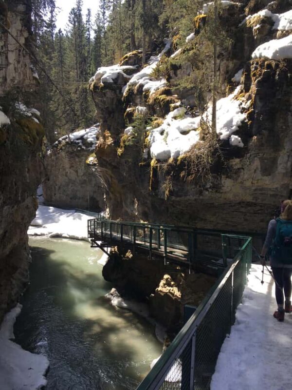 Johnston Canyon: Banff National Park - Experience Provider: What Sets Them Apart