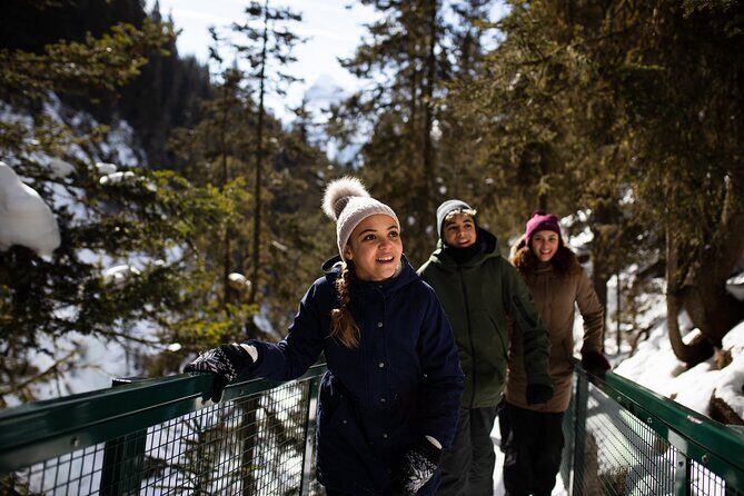 Johnston Canyon Frozen Waterfalls & Banff Backroads Wildlife Tour - Key Points