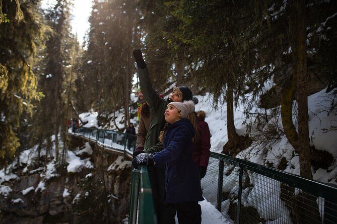Johnston Canyon Frozen Waterfalls & Banff Backroads Wildlife Tour - Pricing and Value Analysis
