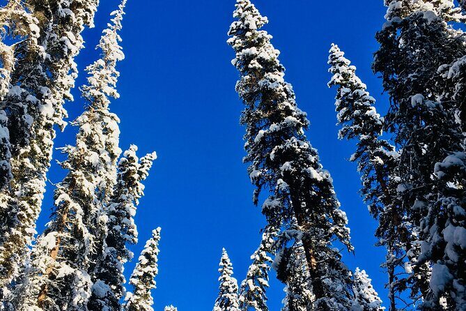 Johnston Canyon Icewalk from Banff AM - Final Thoughts