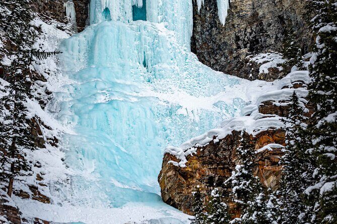 Johnston Canyon Night Walk and Stargazing Experience - The Experience: What You Can Expect
