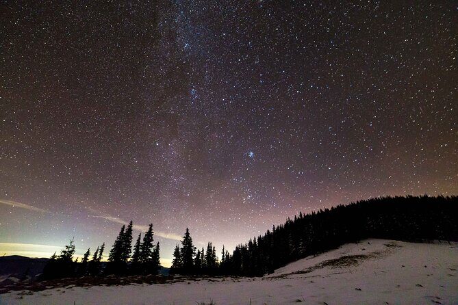 Johnston Canyon Night Walk and Stargazing Experience - The Sum Up