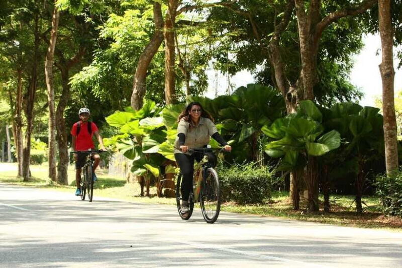 Johor: Desaru Coast Cycling - The Sum Up: Who Should Consider This Tour?