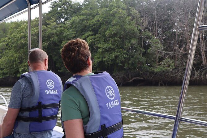 Johor Desaru Coast Day River Cruise - An Authentic Nature Experience in Malaysia’s Mangroves