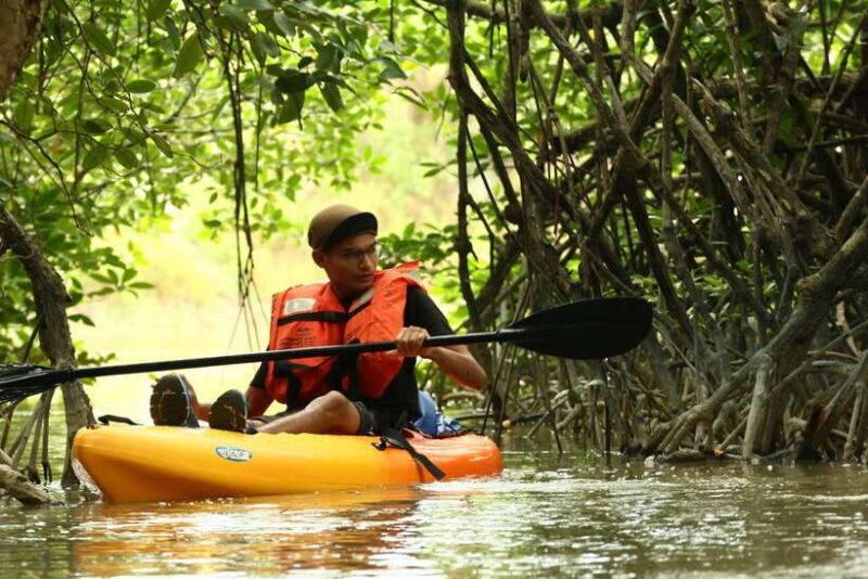 Johor: Sungai Lebam Kayaking with Transfer - Key Points