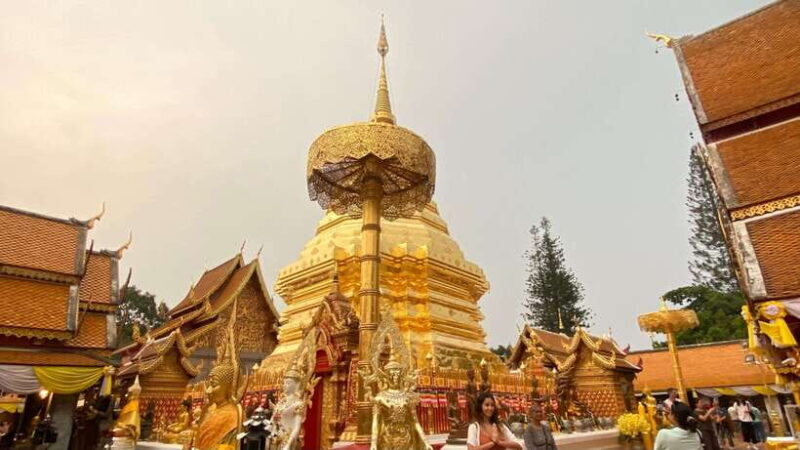 Join Chiangmai Anocheciendo - Who Would Enjoy This Tour?