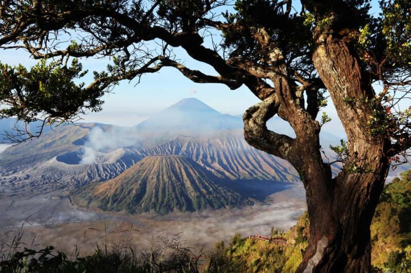 Join in Trip Bromo From Malang - Key Points