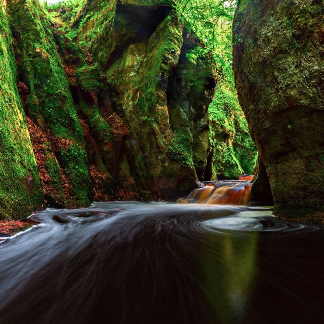 Join the Dark Side of Magical Nature - The Highlights That Make It Special
