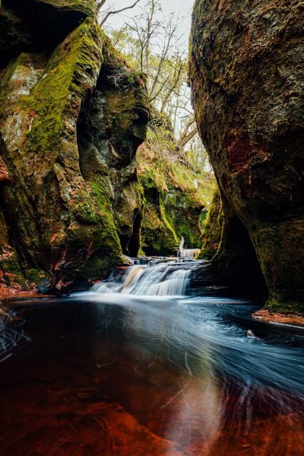 Join the Dark Side of Magical Nature - Who Will Love This Tour?