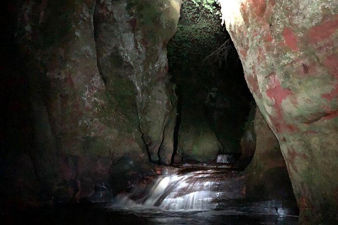 Join the Dark Side of Magical Nature - Authentic Experiences & Authenticity Matters