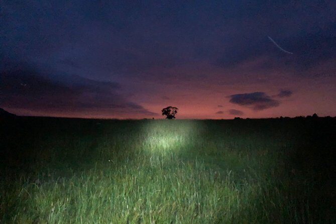 Join the Dark Side of Magical Nature - Who Will Love This Tour?