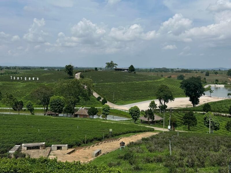 JOIN TOUR 1 day trip around Chiang Rai included lunch buffet - Practicalities and Tips