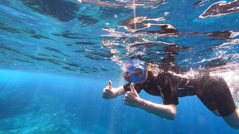Join us on a snorkel boat tour - Key Points
