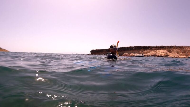 Join us on a snorkel boat tour - The Experience: What You Can Expect from Tenerife’s Snorkel Boat Tour
