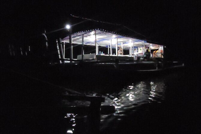 Joiners Firefly Watching Tour - A Closer Look at the Experience