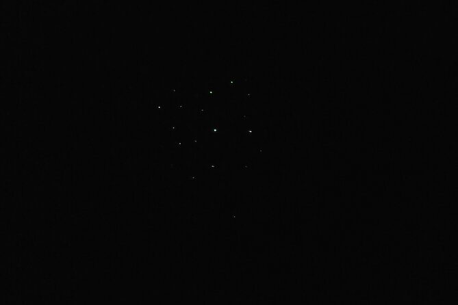 Joiners Firefly Watching Tour - Final Thoughts