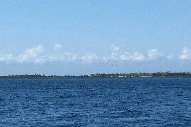 Joiners Honda Bay Tour - Overview and Practical Details