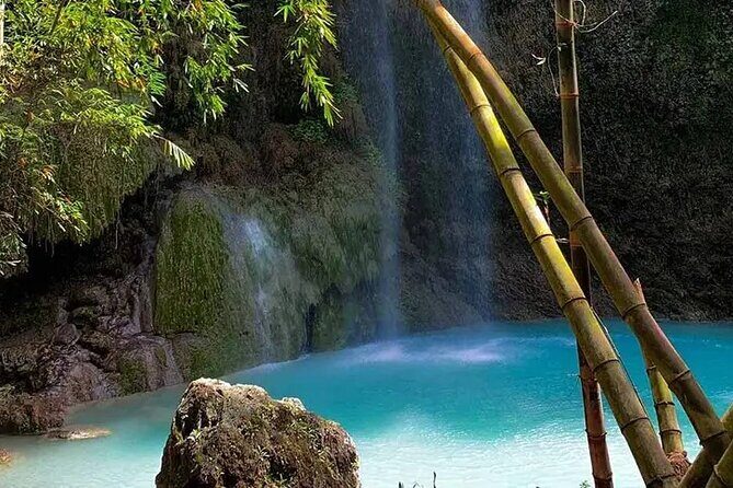 Joiners Whale Shark Watching Pescador Island Sardines and Turtle - Frequently Asked Questions