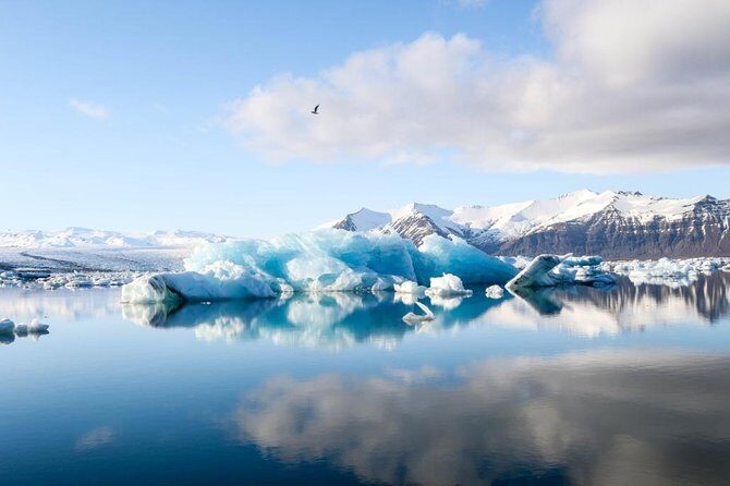 Jökulsarlón Glacier Lagoon Tour - A Detailed Guide to the Jökulsarlón Glacier Lagoon Tour