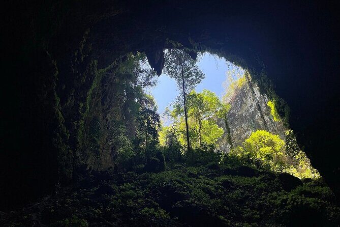 Jomblang and Pindul Cave Small Group Tour With Transfer and Lunch - Key Points