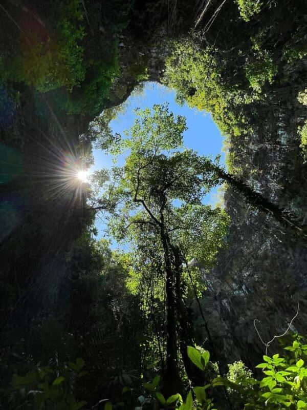 Jomblang and Pindul Caves Shared Guided Tour With Transfer - Pindul Cave and River Tubing: Playful and Refreshing