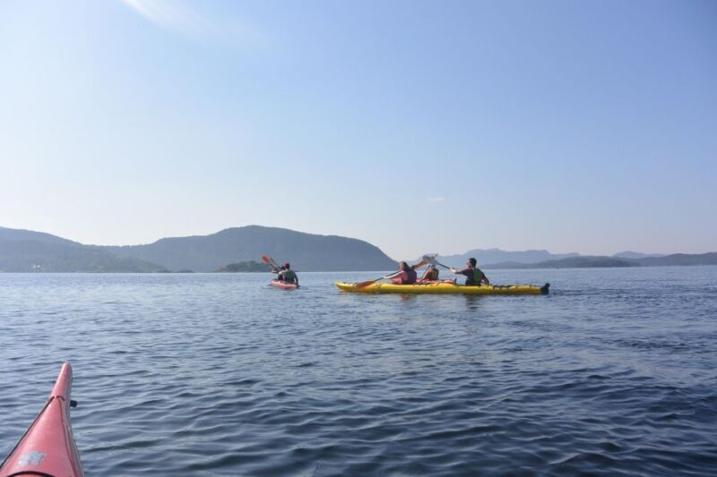 Jørpeland: Guided fjordtour kayak - Key Points