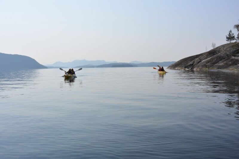 Jørpeland: Guided fjordtour kayak - What to Expect from the Kayak Tour
