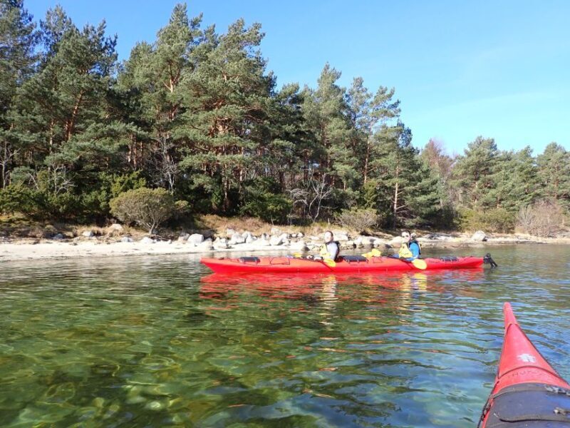 Jørpeland: Guided fjordtour kayak - Who Should Consider This Tour?