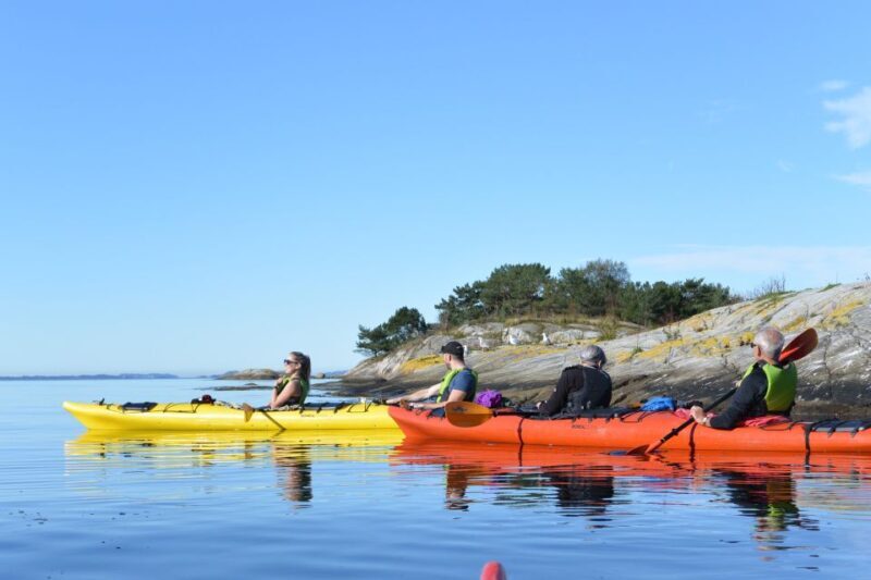 Jørpeland: Guided fjordtour kayak - Final Thoughts