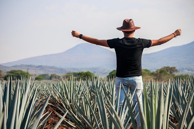 José Cuervo Tequila Day Experience from Guadalajara - Exploring the Town of Tequila