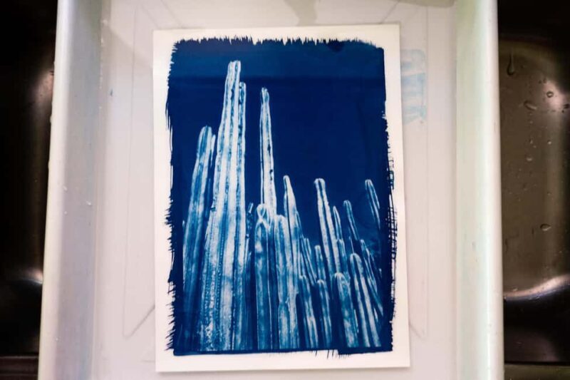 Joshua Tree: Cyanotype Sunprint Workshop - What Makes This Workshop Special?