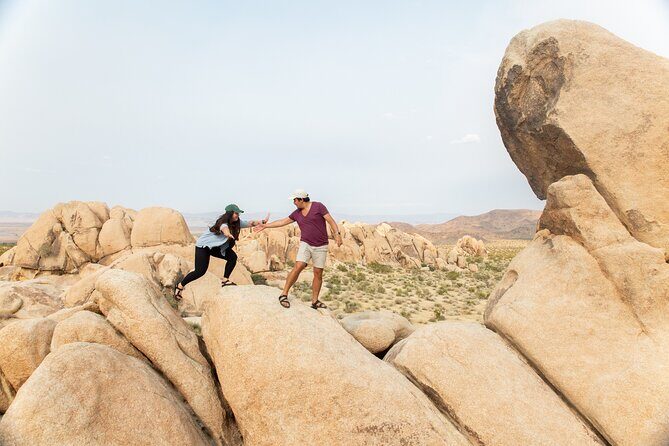Joshua Tree Full Day Private Tour and Hike - Key Points