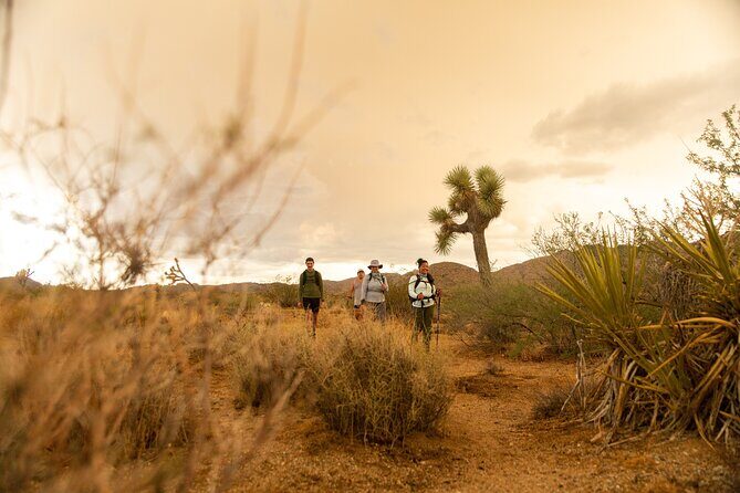 Joshua Tree Full Day Private Tour and Hike - FAQs