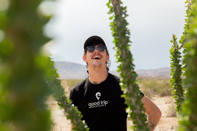 Joshua Tree Full Day Private Tour and Hike - Final Thoughts