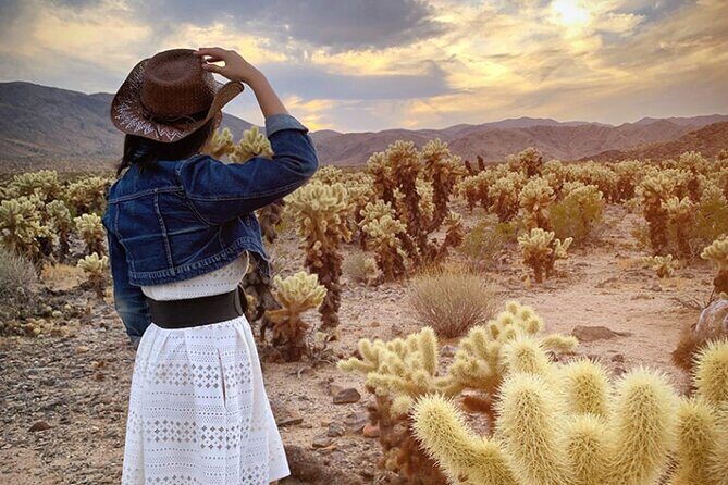 Joshua Tree National Park and Pioneertown Tour - An In-Depth Look at the Joshua Tree and Pioneertown Experience