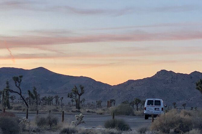 Joshua Tree National Park Driving Tour - Introduction: Why a Guided Tour Might Be Perfect for You