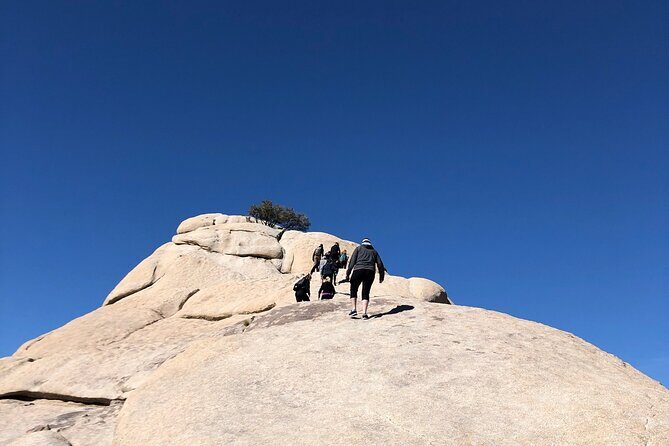 Joshua Tree National Park Driving Tour - A Detailed Breakdown of the Itinerary