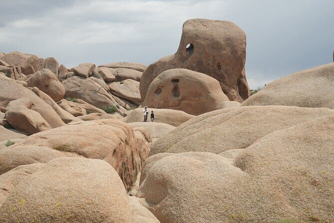 Joshua Tree National Park Private Adventure from Los Angeles - Who Is This Tour Best For?