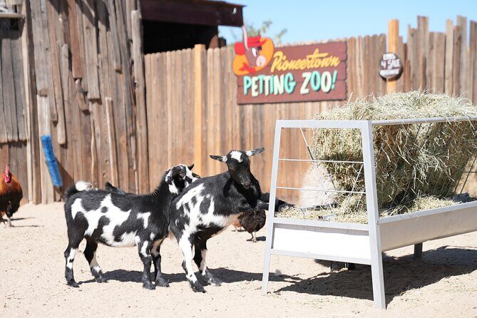 Joshua Tree National Park Private Adventure from Los Angeles - Frequently Asked Questions