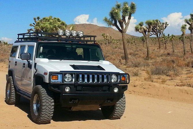 Joshua Tree National Park Scenic Tour - What Makes This Tour Stand Out